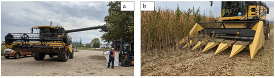 Mechanical Harvesting of Castor Bean (Ricinus communis L.) with a ...