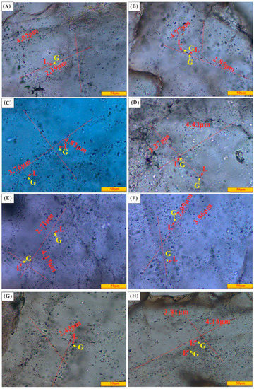 The Influence of Hydrothermal Activity on the Long-Distance Migration ...