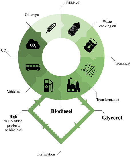 Energies | Free Full-Text | Bioprocesses for the Biodiesel Production ...