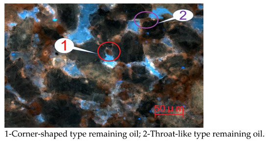 Distribution Characteristics of Micro Remaining Oil of Class III ...