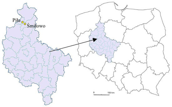 Energies | Free Full-Text | Sustainable Systems for the Production of ...