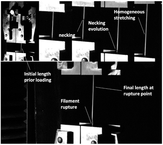 Mechanical and Thermal Properties of 3D Printed Polycarbonate