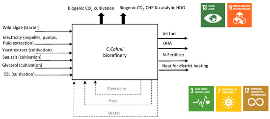 Cascading Crypthecodinium cohnii Biorefinery: Global Warming Potential ...