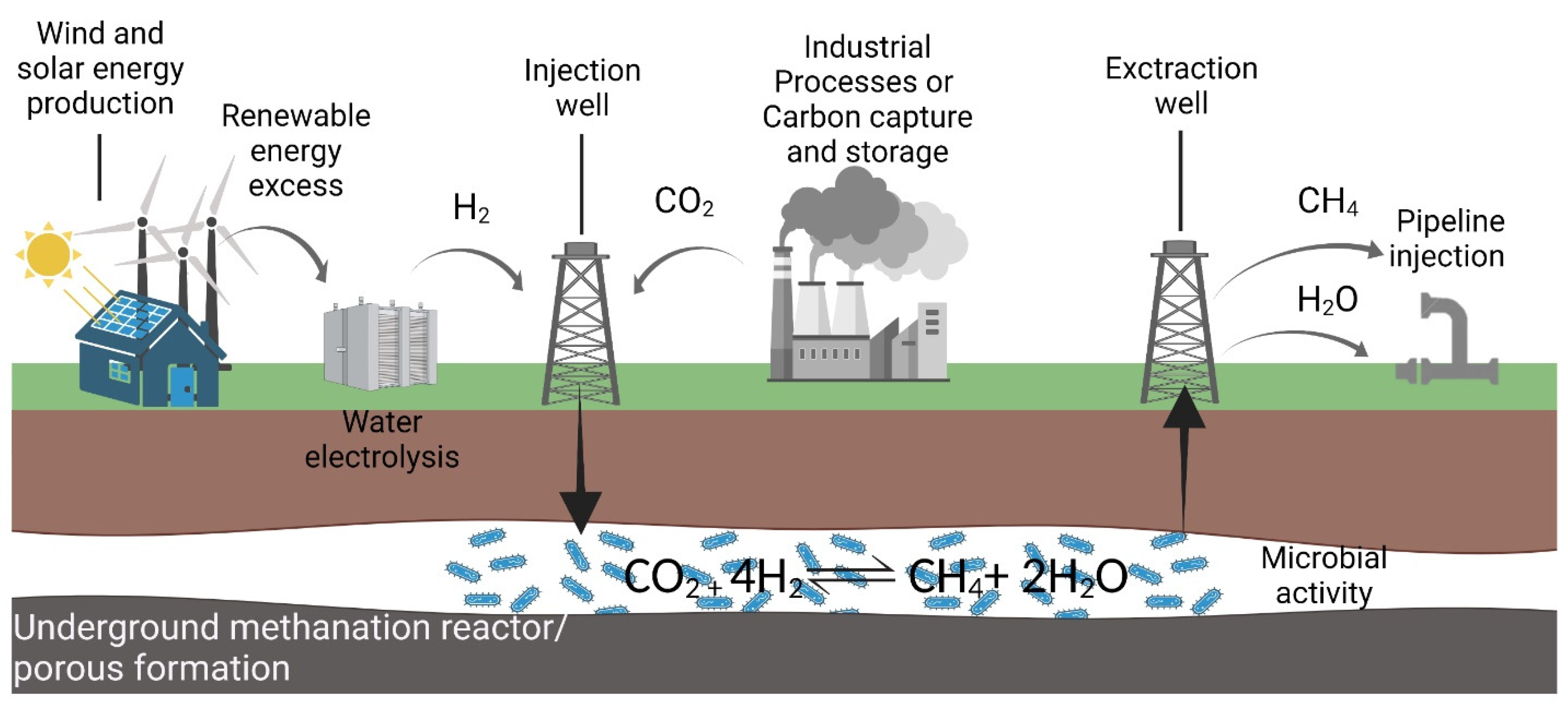 Biological Aspects, Advancements and Techno-Economical Evaluation of ...