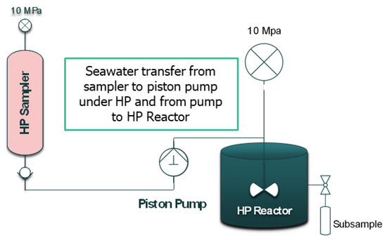 Energies | Free Full-Text | Emulating Deep-Sea Bioremediation: Oil ...