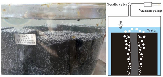 Mechanism of Methane Adsorption/Desorption in Low-Rank Vitrain and ...
