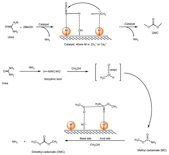 Dimethyl Carbonate: Review of Synthesis Routes and Catalysts Used