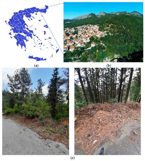 Residual Forest Biomass in Pinus Stands: Accumulation and Biogas ...