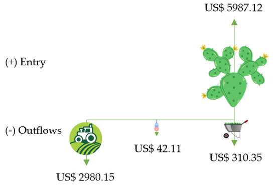 Energetic and Economic Analysis of Spineless Cactus Biomass Production ...