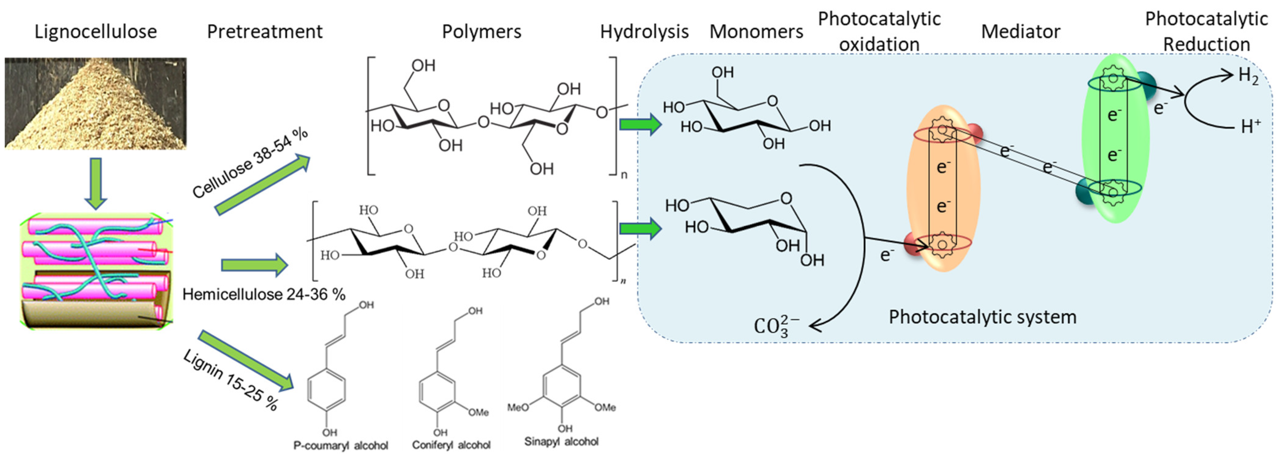 Hydrogen Production and Storage: Analysing Integration of ...