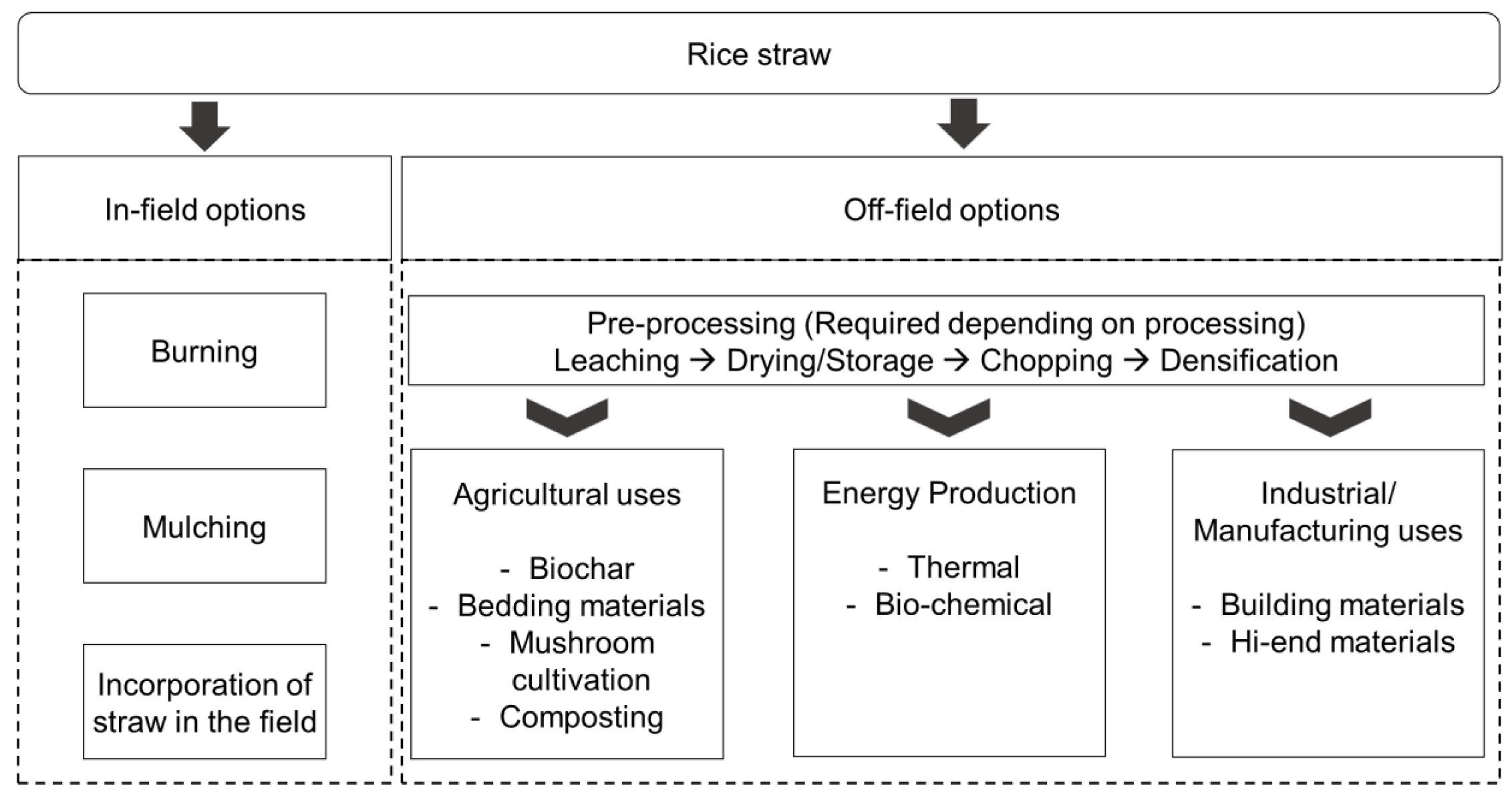 Rice Straw Utilisation for Bioenergy Production: A Brief Overview