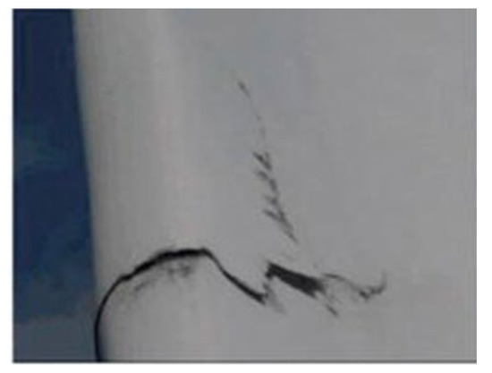 Review of the Typical Damage and Damage-Detection Methods of Large Wind ...