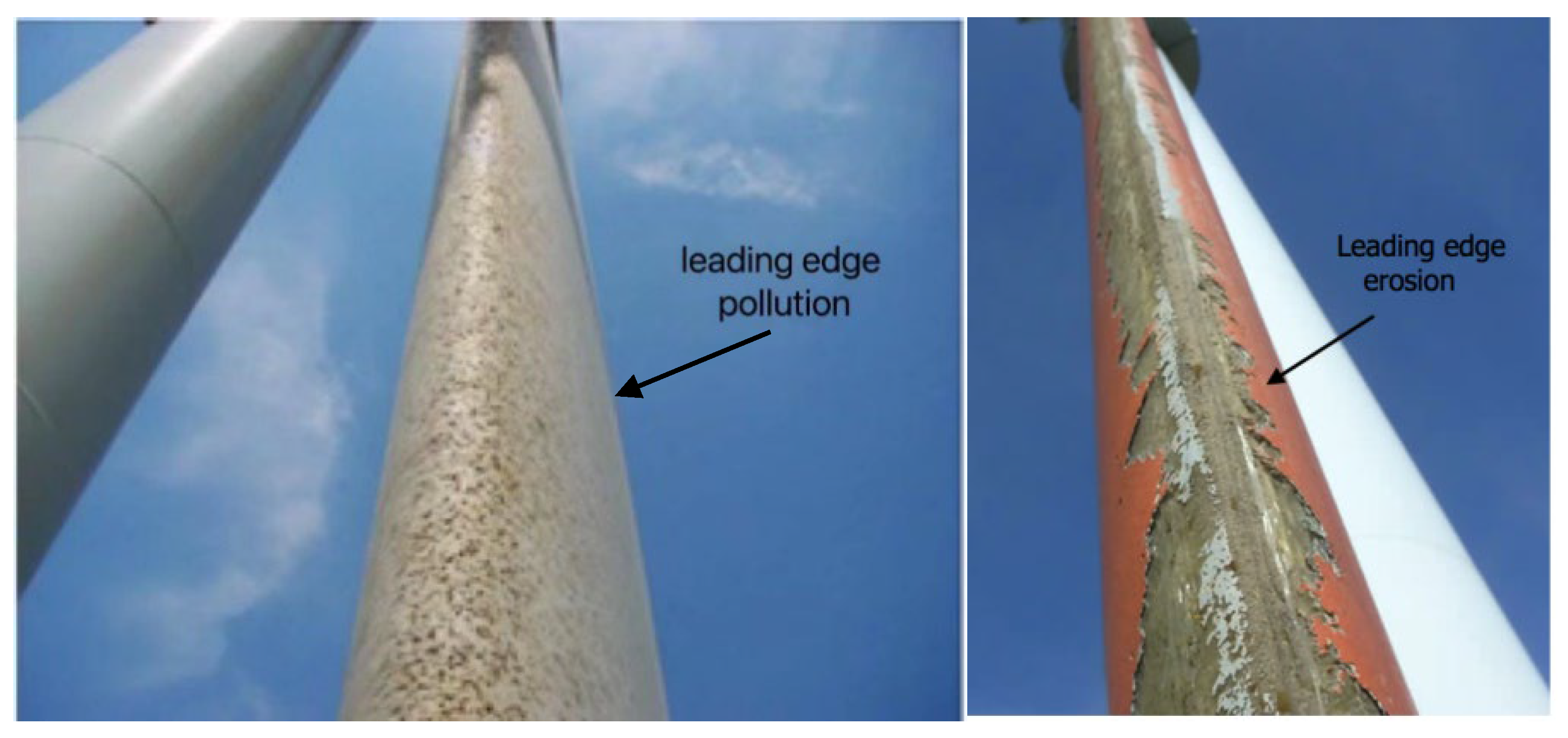 Review of the Typical Damage and Damage-Detection Methods of Large Wind Turbine Blades