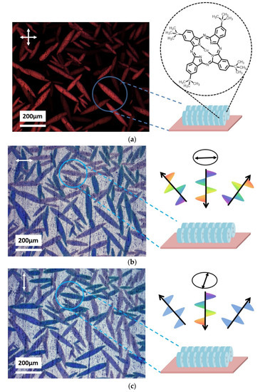 Performance Enhancement of Interdigitated Heterojunction Solar Cells ...