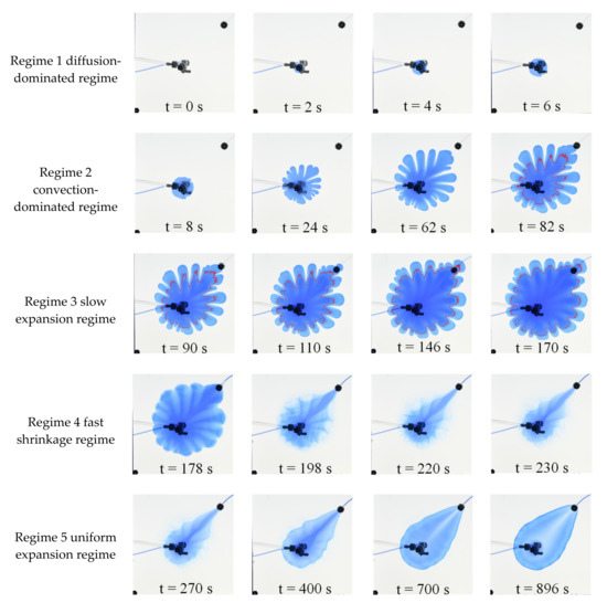 Viscous Fingering Dynamics and Flow Regimes of Miscible Displacements ...