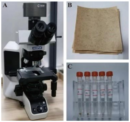 Detection of Cellulose Particles in Transformer Oil Based on Transport ...