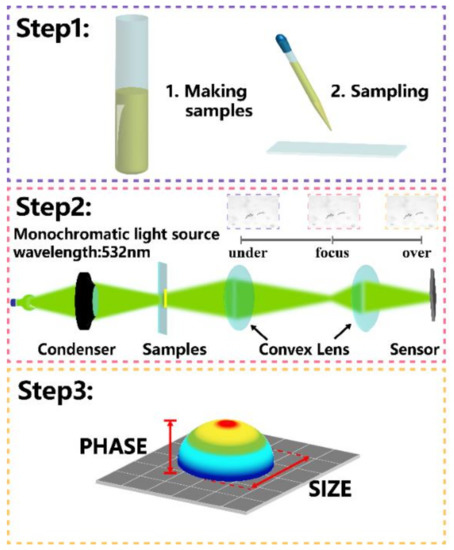 Detection of Cellulose Particles in Transformer Oil Based on Transport ...