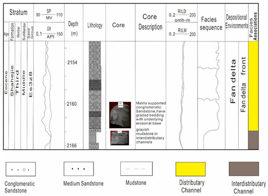 Sedimentary Facies Analysis of the Third Eocene Member of Shahejie ...