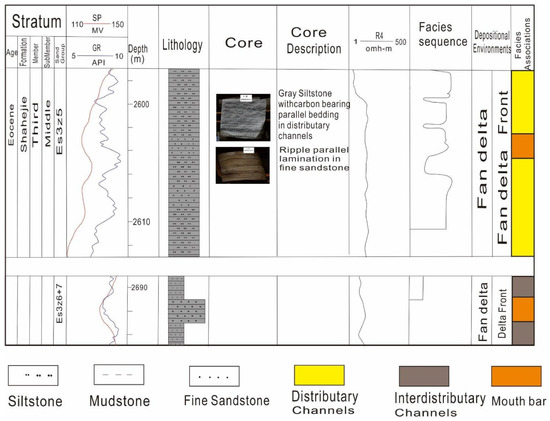 Sedimentary Facies Analysis of the Third Eocene Member of Shahejie ...