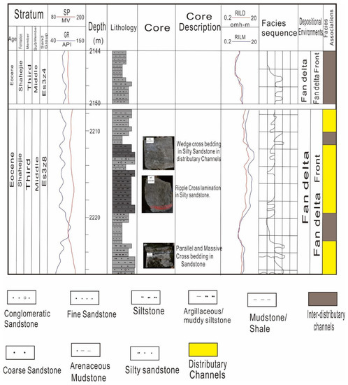 Sedimentary Facies Analysis of the Third Eocene Member of Shahejie ...