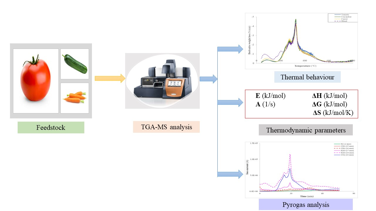 Energies | Free Full-Text | Pyrolysis Valorization of Vegetable Wastes ...