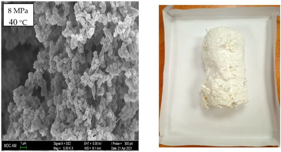 Dispersion of the Thermodynamically Immiscible Polypropylene and ...