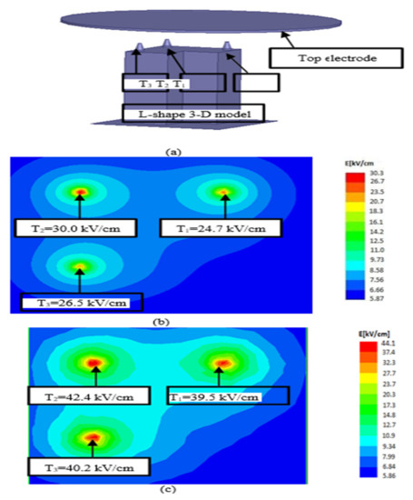 An Experimental Study of Electromagnetic Field Propagation Due to ...