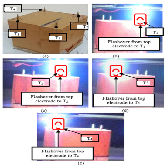 An Experimental Study of Electromagnetic Field Propagation Due to ...