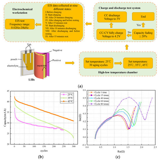 Electrochemical Impedance Spectroscopy Based on the State of Health ...