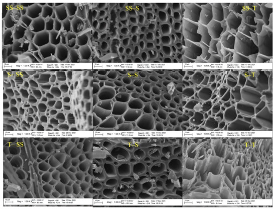 Energies | Free Full-Text | A Novel Mesoporous Activated Carbon Derived ...