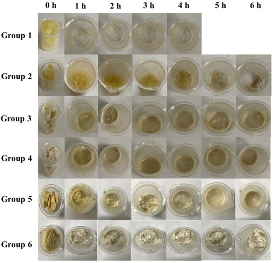 Laboratory Evaluation and Field Application of a Gas-Soluble Plugging ...