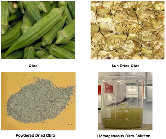 Evaluation of OKRA (Abelmoschus esculentus) Macromolecular Solution for ...