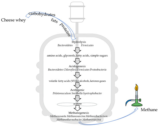 Cheese Whey as a Potential Feedstock for Producing Renewable Biofuels ...