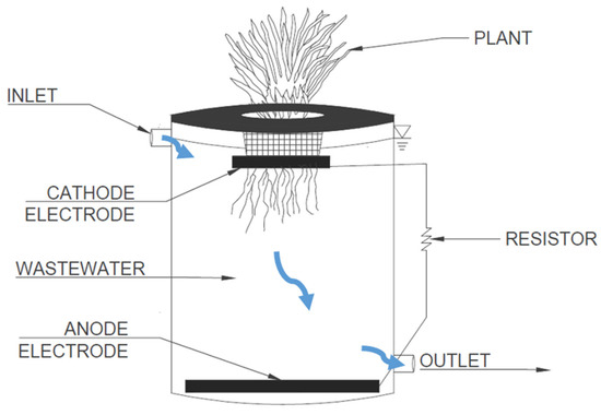 An Overview of Microbial Fuel Cells within Constructed Wetland for ...