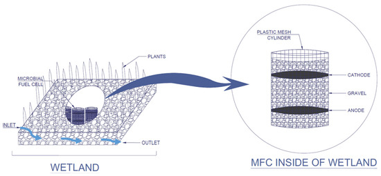 Energies | Free Full-Text | An Overview of Microbial Fuel Cells within Constructed Wetland for ...