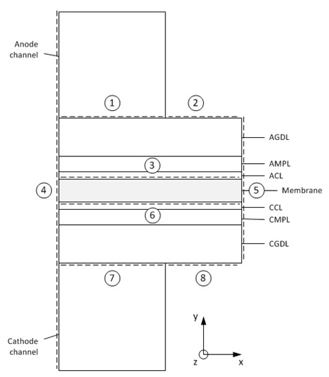 A Multi-Fluid Model for Water and Methanol Transport in a Direct ...
