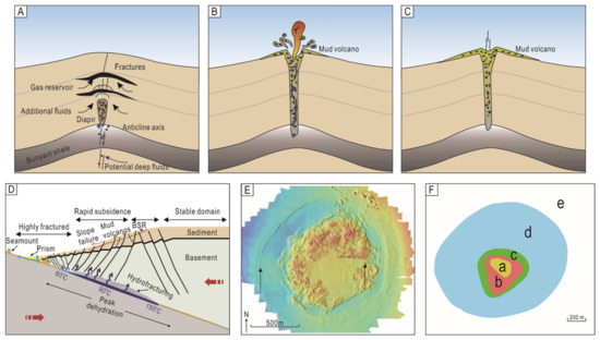 Gas Sources, Migration, and Accumulation Systems: The Shallow ...