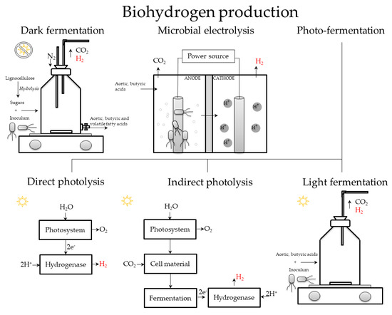 A Game Changer: Microfluidic Technology for Enhancing Biohydrogen ...