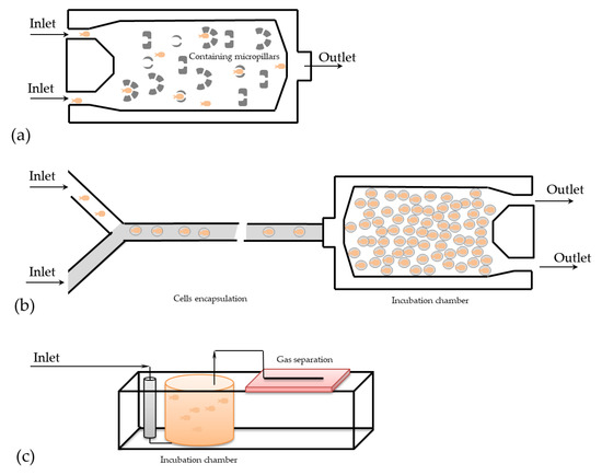 A Game Changer: Microfluidic Technology for Enhancing Biohydrogen ...