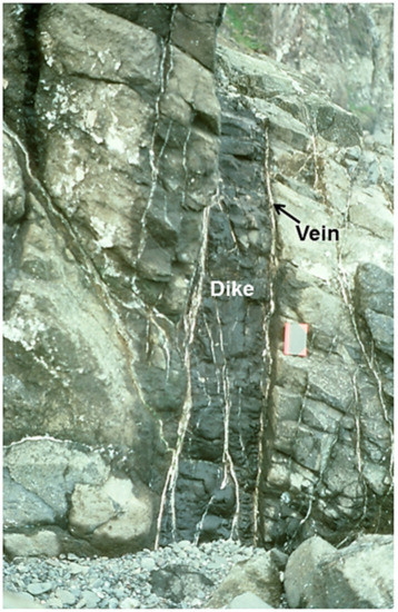 Transport of Geothermal Fluids along Dikes and Fault Zones