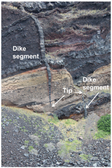 Transport of Geothermal Fluids along Dikes and Fault Zones