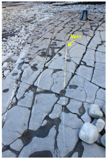 Transport of Geothermal Fluids along Dikes and Fault Zones