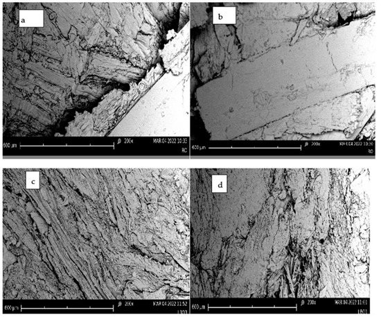 Investigation of Steam Explosion Pretreatment of Sawdust and Oat Straw ...