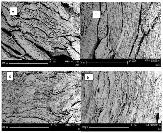 Investigation of Steam Explosion Pretreatment of Sawdust and Oat Straw ...