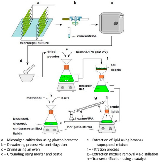 Progress on Conventional and Advanced Techniques of In Situ ...