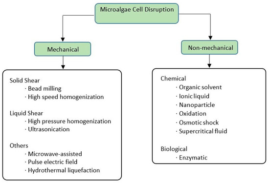 Energies | Free Full-Text | Progress on Conventional and Advanced Techniques of In Situ ...