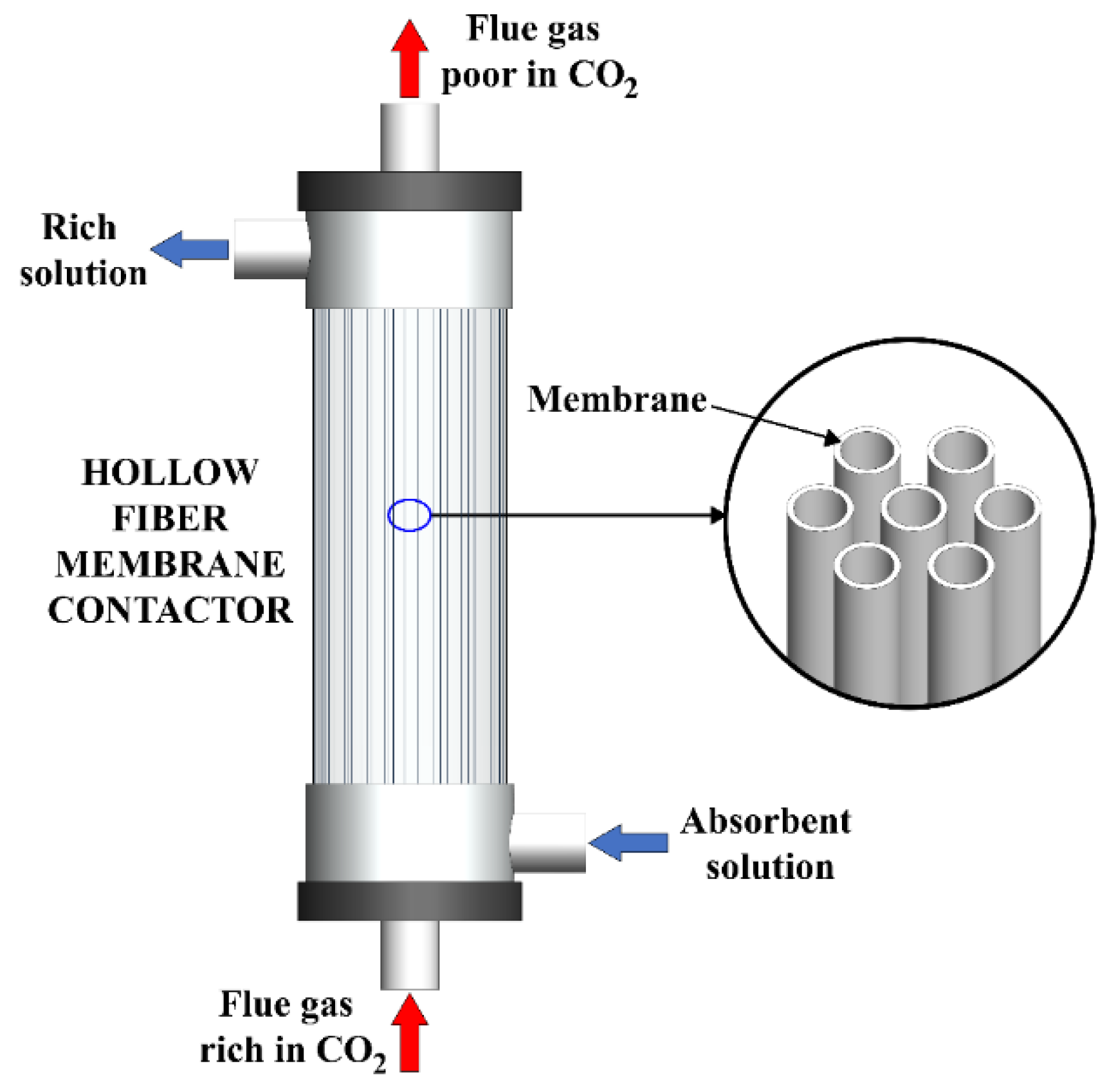 Dynamic Modeling of CO2 Absorption Process Using Hollow-Fiber Membrane Contactor in MEA Solution