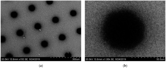 Boiling Heat Transfer Enhancement on Biphilic Surfaces