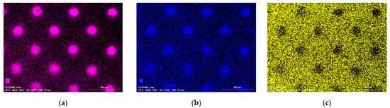 Boiling Heat Transfer Enhancement on Biphilic Surfaces