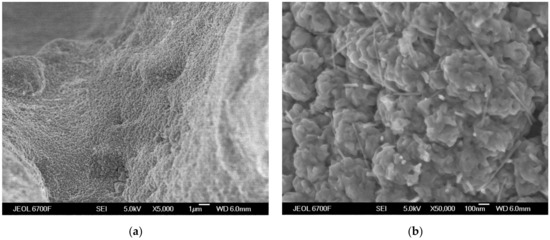 Boiling Heat Transfer Enhancement on Biphilic Surfaces
